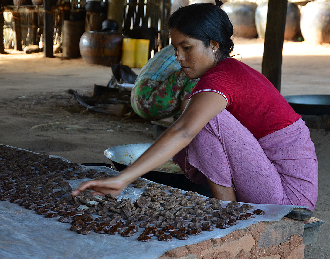 Earth-Roamers : Myanmar - Alcohol from palm trees
