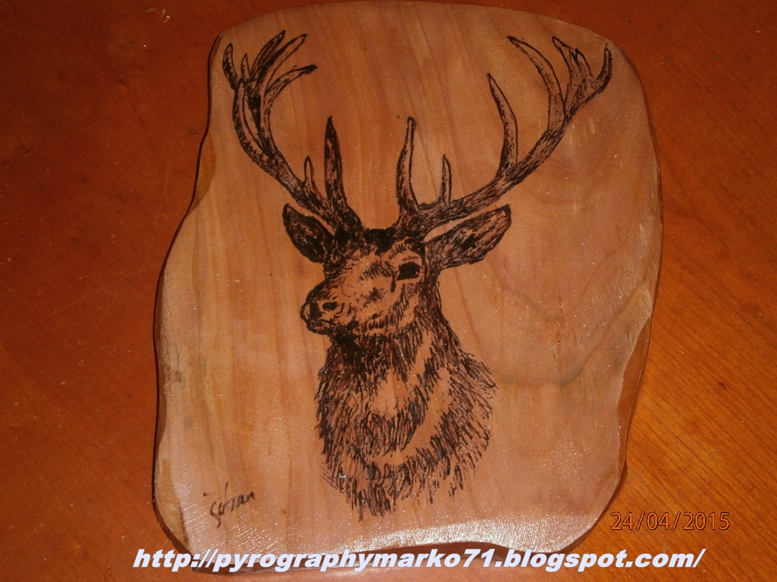 Pyrographymarko: JELEN SLIKA 8.
