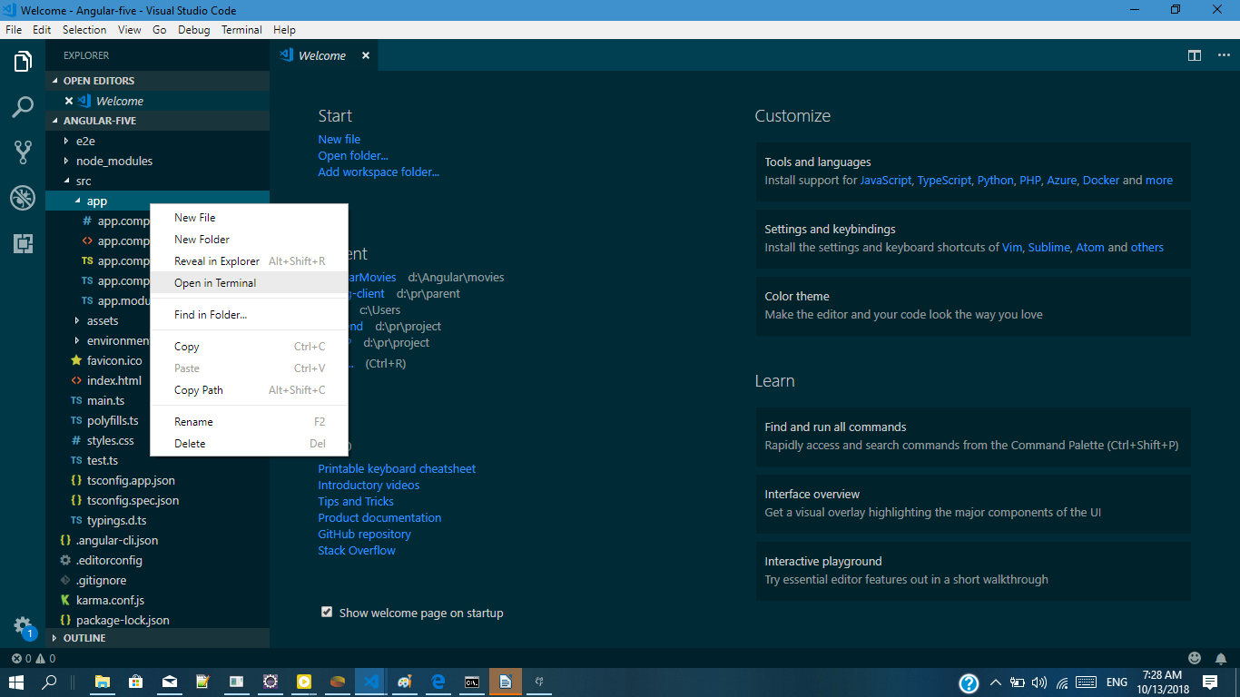 angular 5 for beginners: Work with Angular