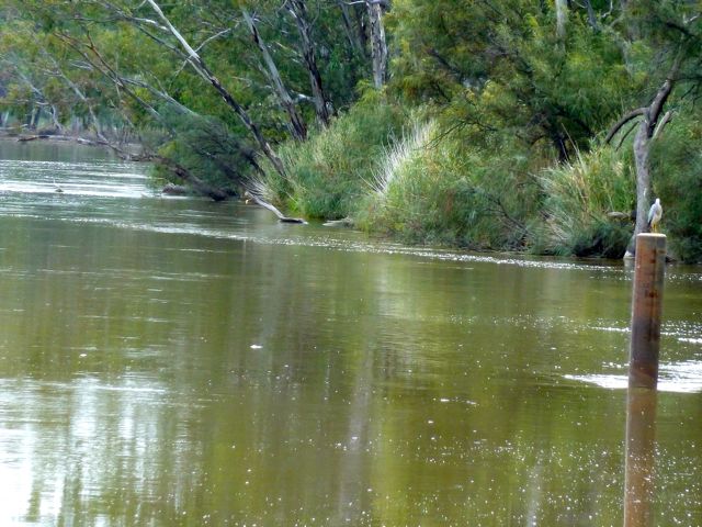 Peter and Vicki's Travel Blog: Thanks for the great time South ...