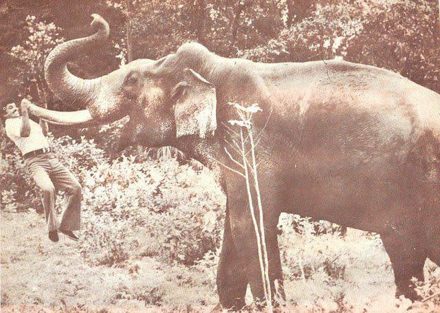 Very Old and Rare Photos, Pictures of Kerala, India: The Man behind the ...