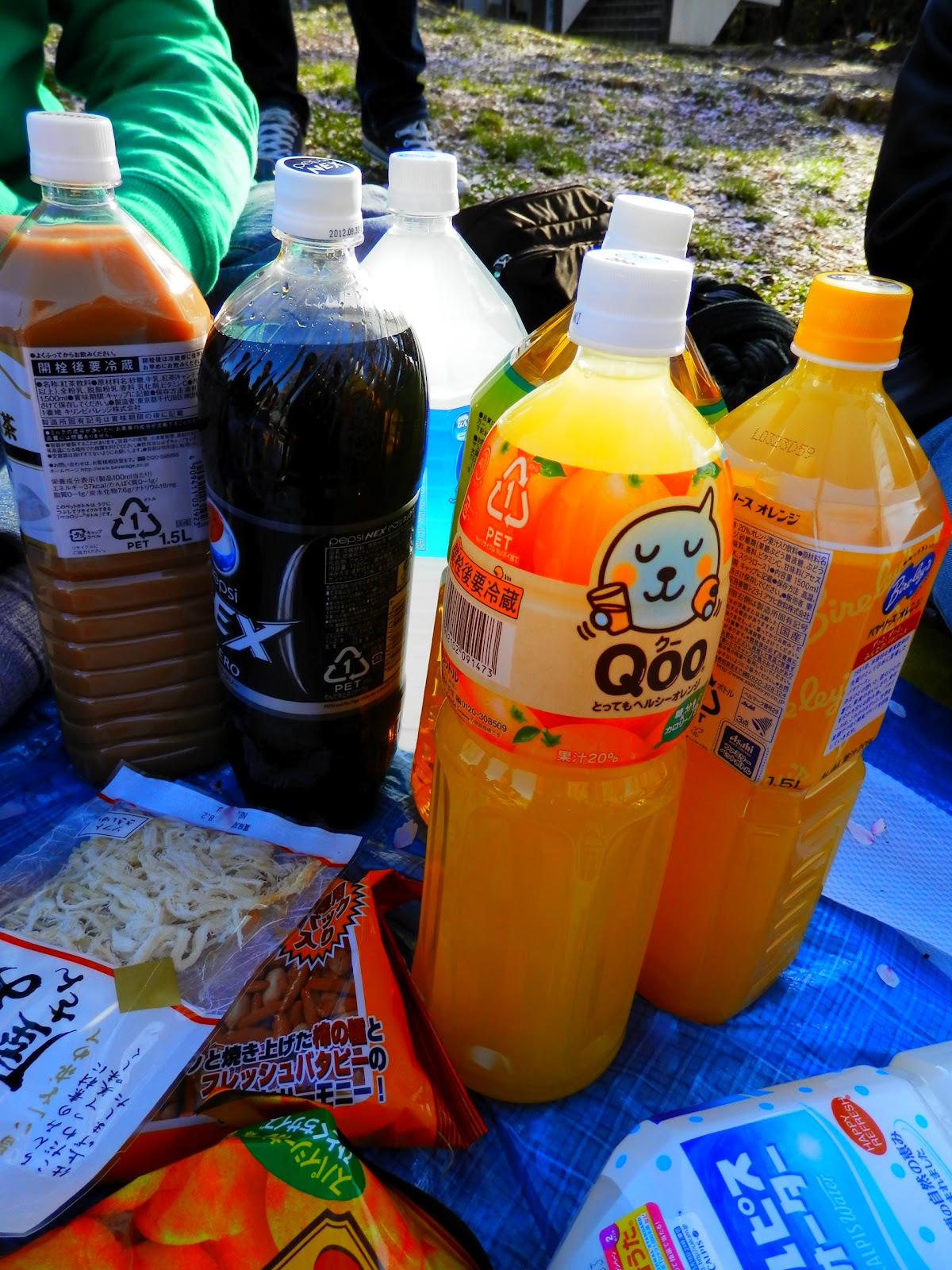 5 Things To Try For A Better Hanami Experience | Japan Tidbits