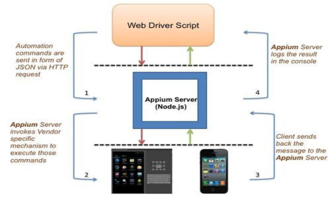 Step By Step Procedure for Successfully Installing Appium