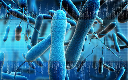 Cholera : Symptome Ursachen und Abhilfen