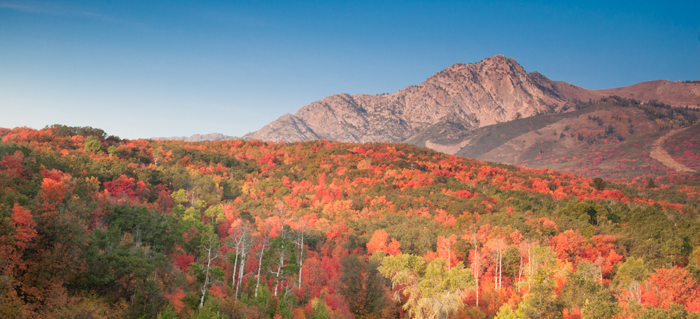 Utah Fall Color Watch: Snowbasin Autumn Splendor