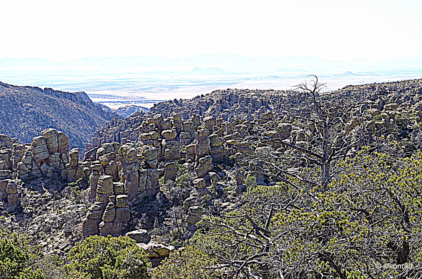 PUPPY PATHS - RVing Full-Time: Chiricahua National Monument, Arizona