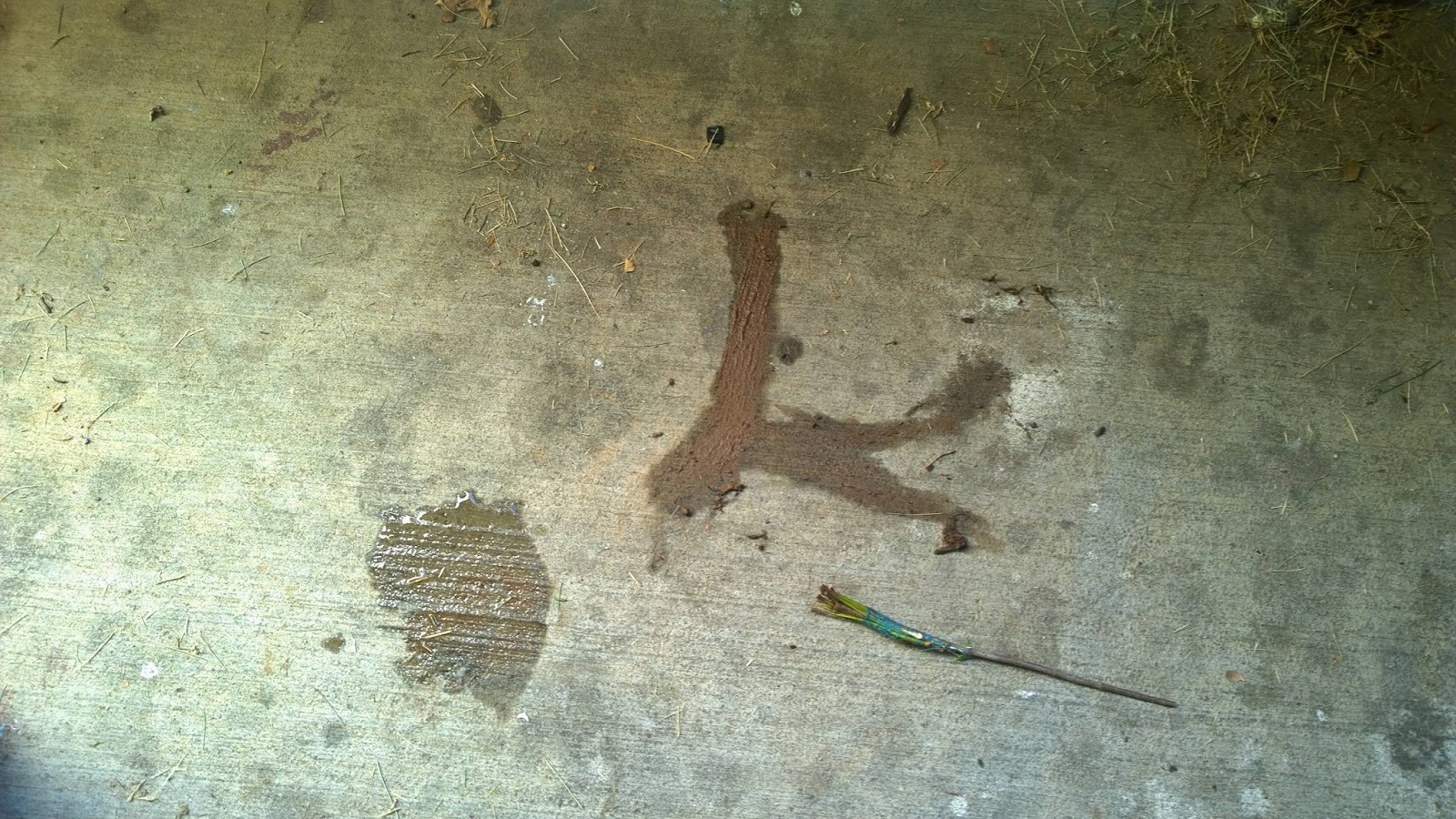 Art History Cave Paintings: Ruihong shares her story!