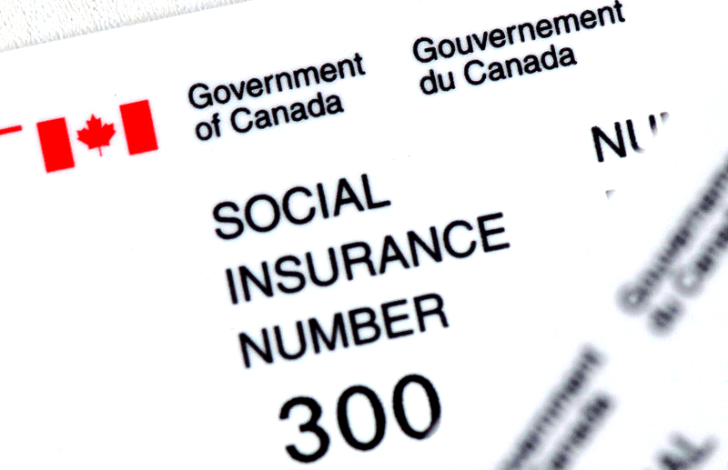 كل ما تحتاج معرفته حول Social Insurance Number - Immigration Canada DZ