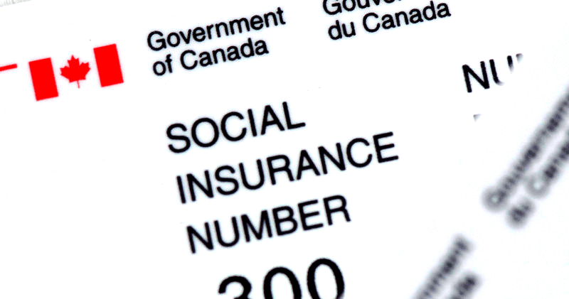 كل ما تحتاج معرفته حول Social Insurance Number - Immigration Canada DZ