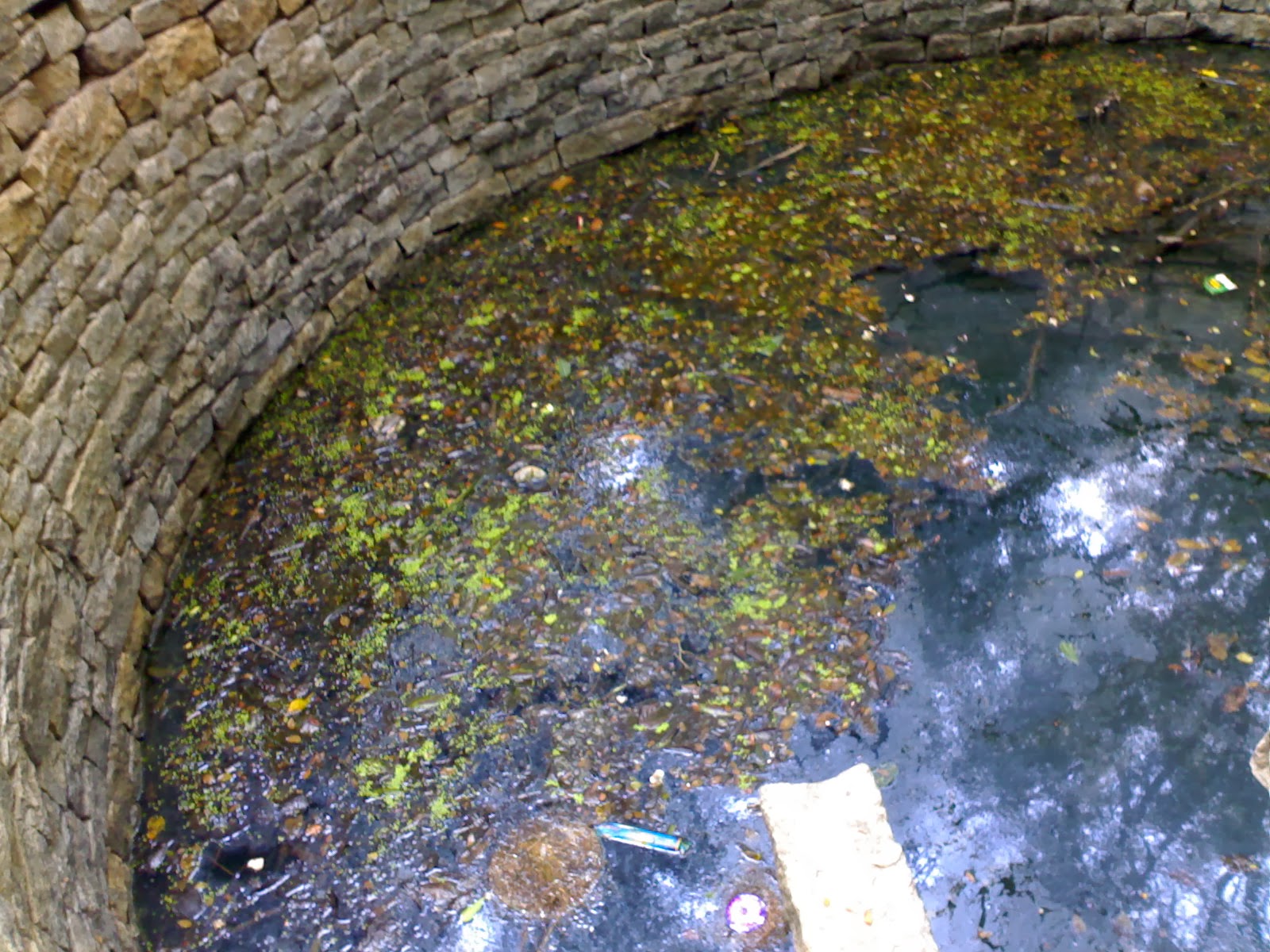 Five Large Open Wells near Madiwala Market – Biome Environmental Trust