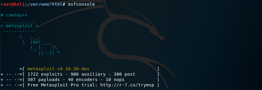 Exploitation using Shell