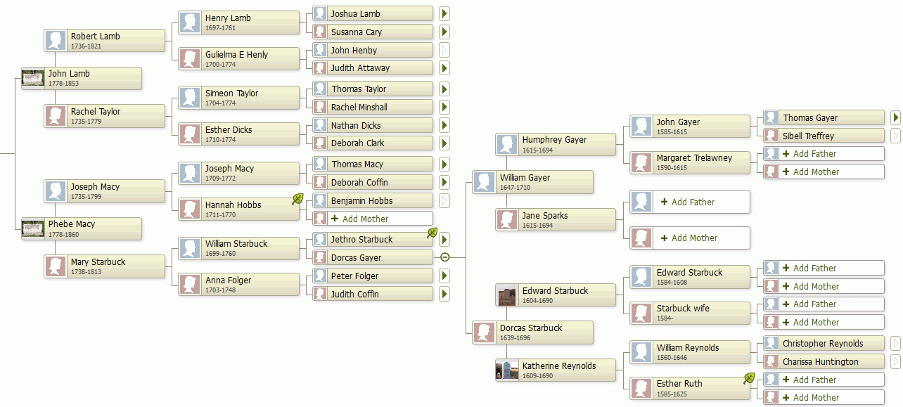 Polymath at Large: Do I shorten the branch?