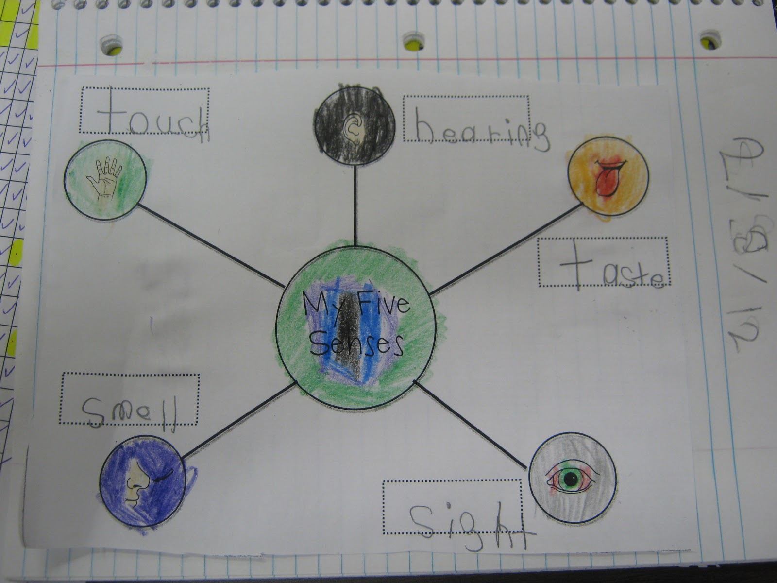 Mrs. Bagby's Kindergarten: Our Five Senses