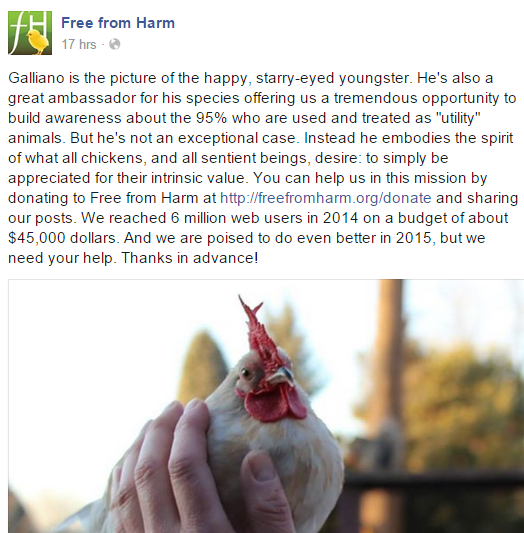 The Academic Activist Vegan: Donations & The Small Print in Animal Advocacy