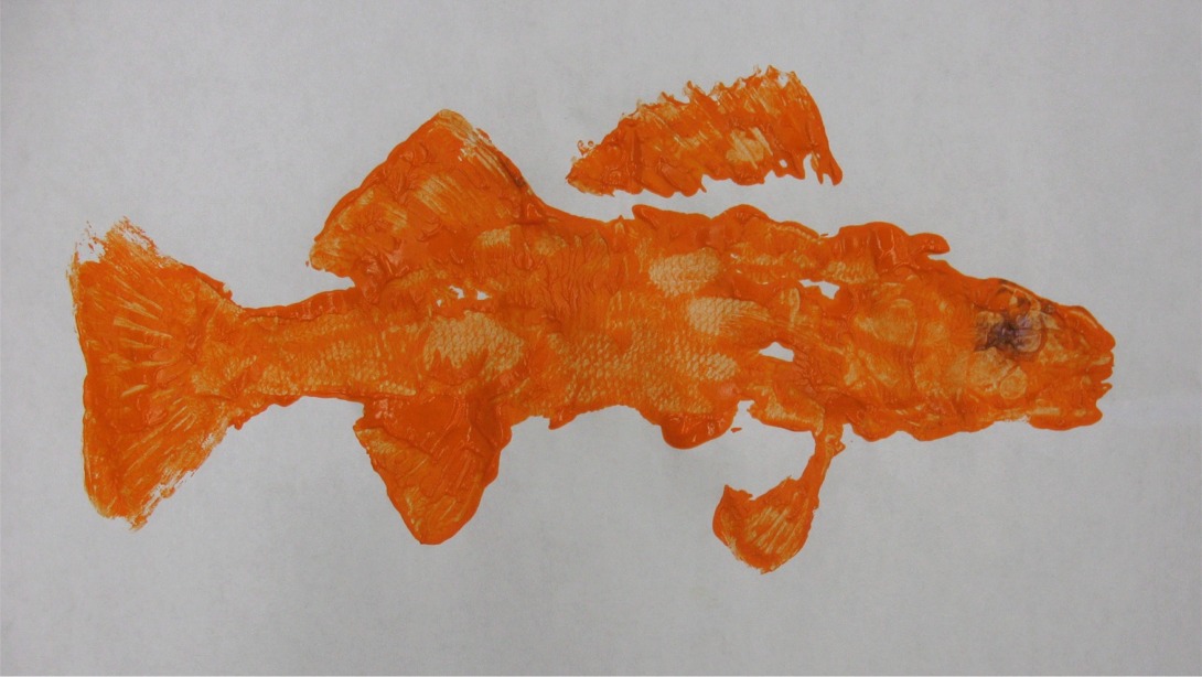 The David Lubin Art Studio: Fish Prints