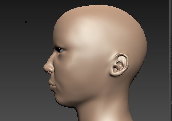 Final Year Project: Sculpting the head