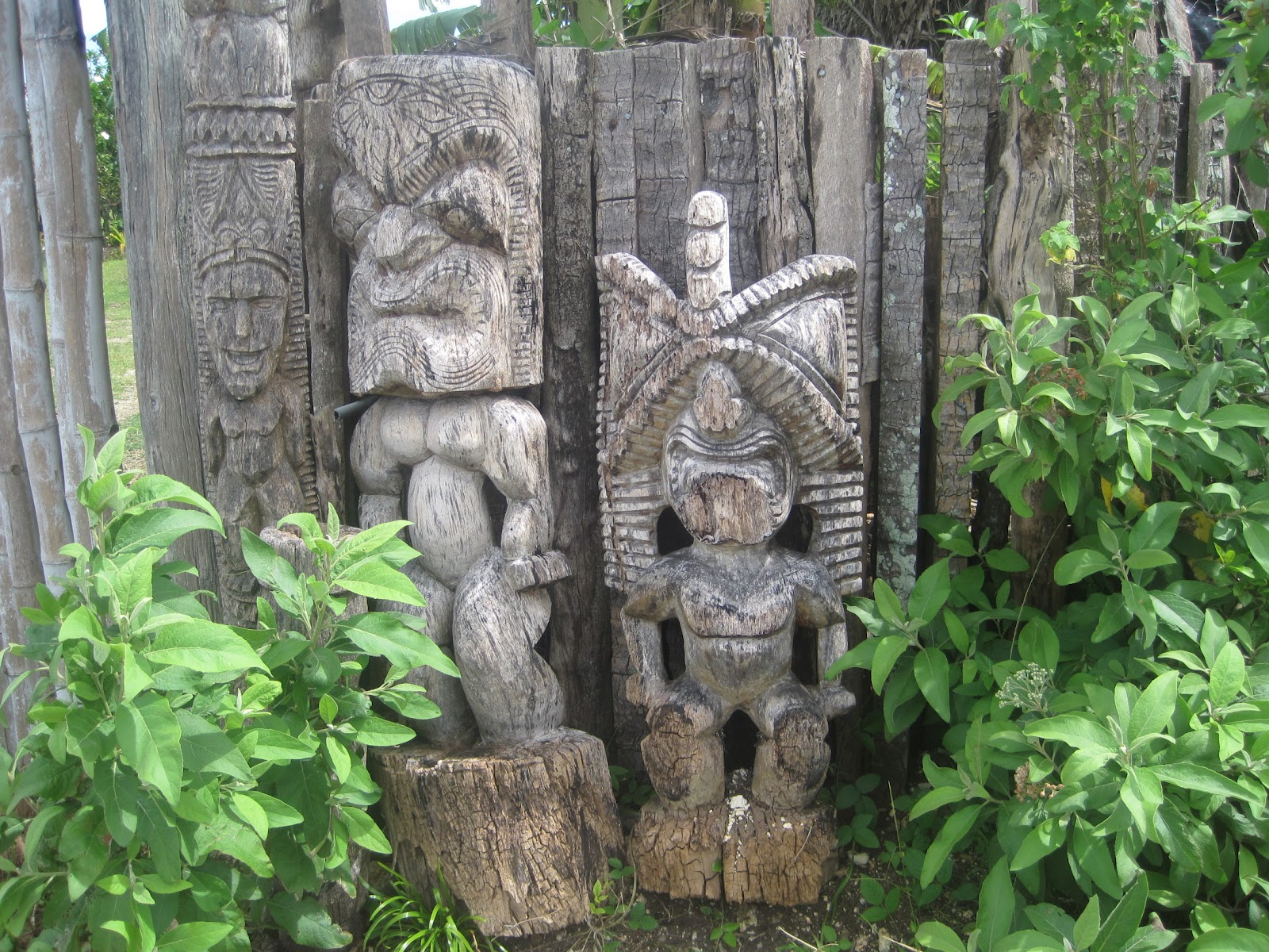 Thornes-in-Tarawa: A Week in Tonga