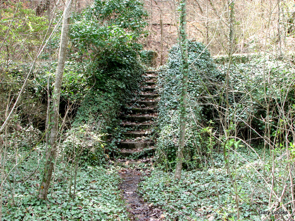 Gary's Outdoor Wanderings2: SCONA LODGE - A Lost Treasure