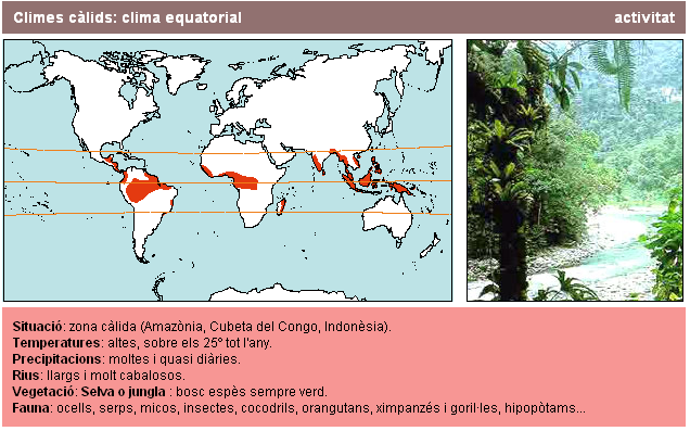 Socials a Quartó:1r ESO: CLIMA EQUATORIAL