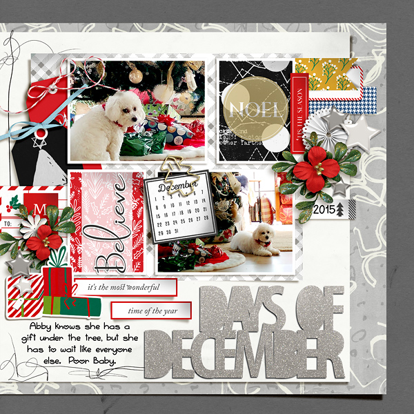 Scrapping with Liz: Document Your December: Cut Outs and Countdown ...