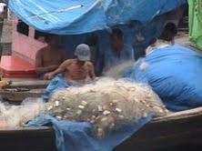 TEKNOLOGI PENANGKAPAN IKAN DENGAN JARING MILLENIUM – Jati.id