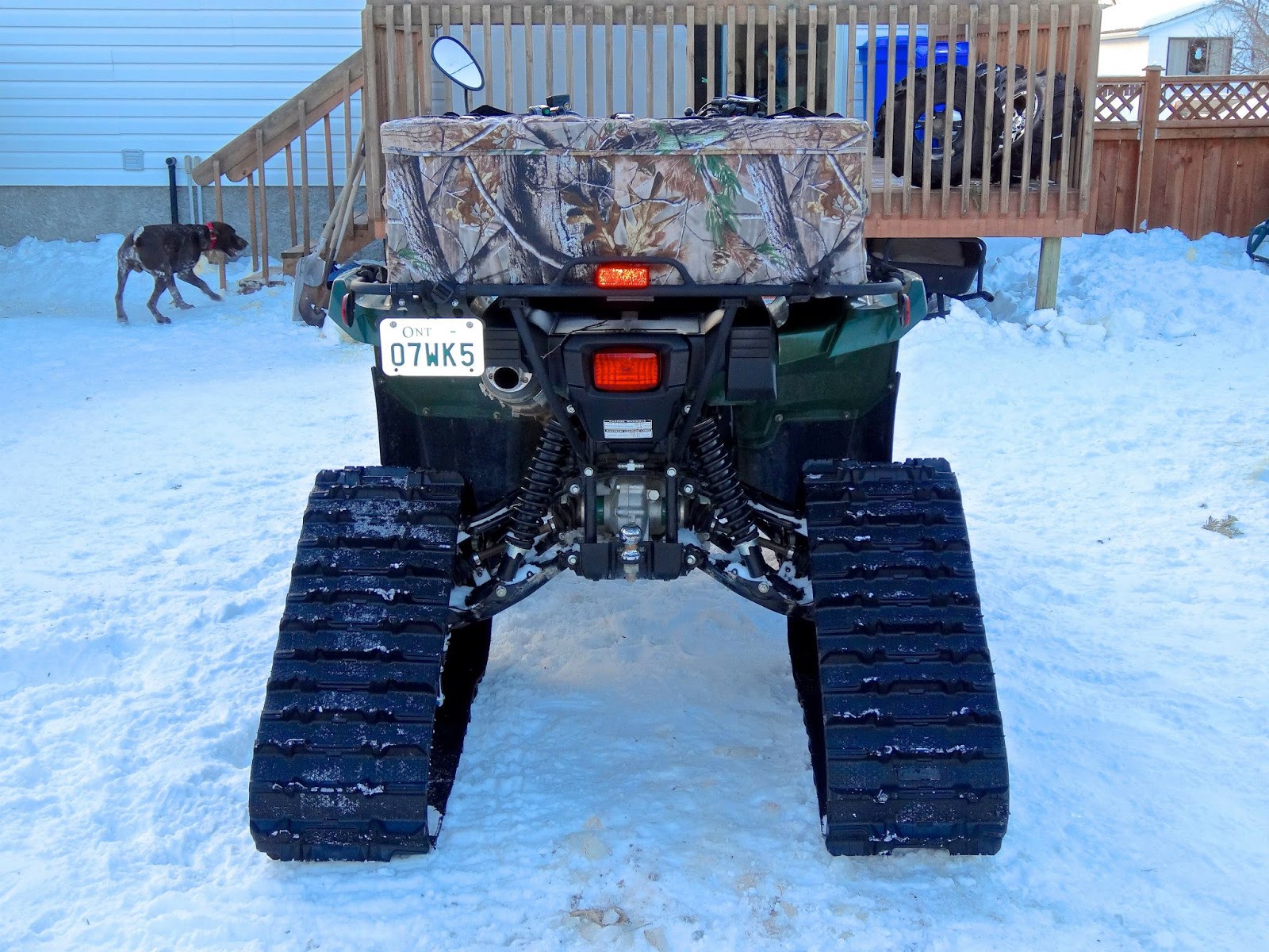 Welcome To Our CUBBEEZX ATV ADVENTURES: Tracks on the Grizzly
