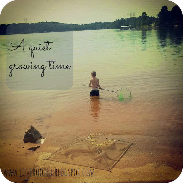 Rooted in love: A Quiet Growing Time