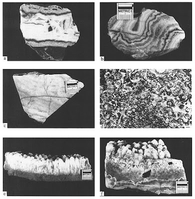 Classification of Quartz Textures in Epithermal Veins