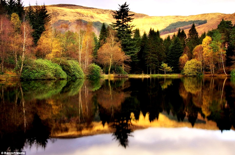 Landscape Mirrors | How To Grade Landscape