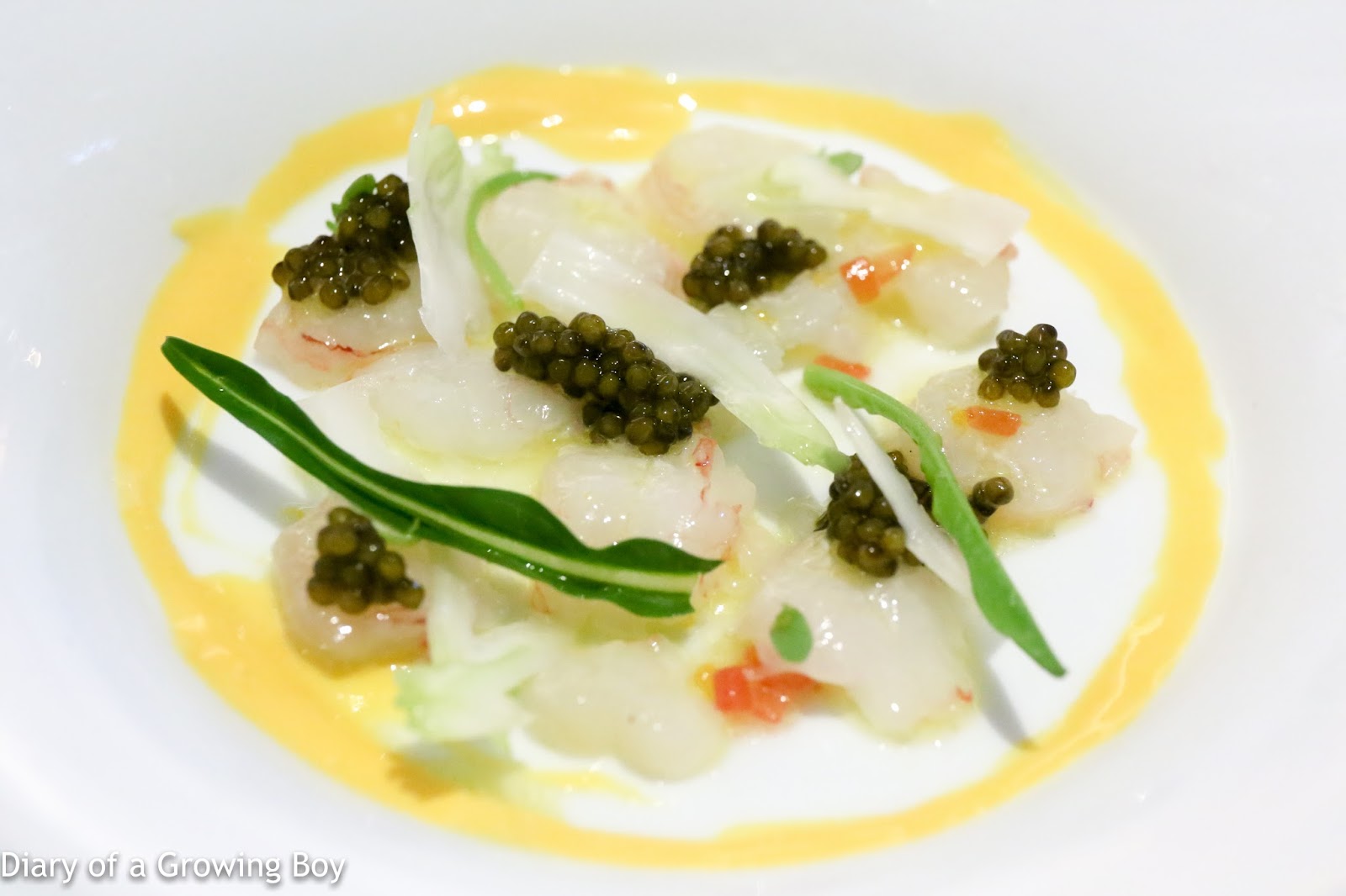 吃喝玩樂 - Diary of a Growing Boy: Nice, but no WOW