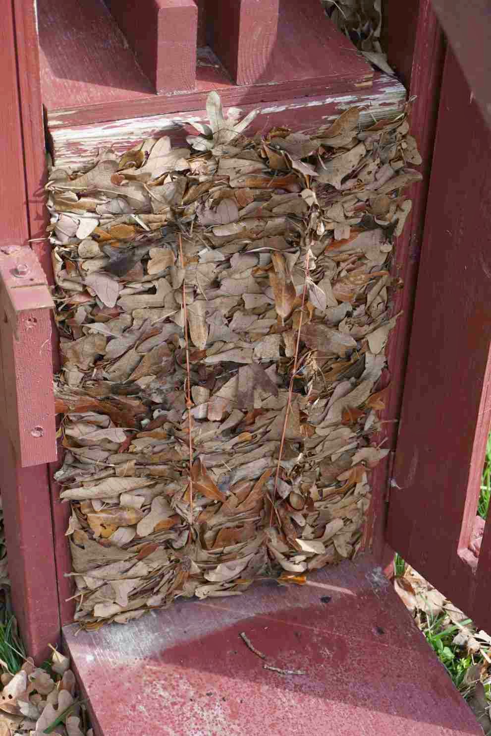 Larry Zoro: Double Planting Leaf Bale