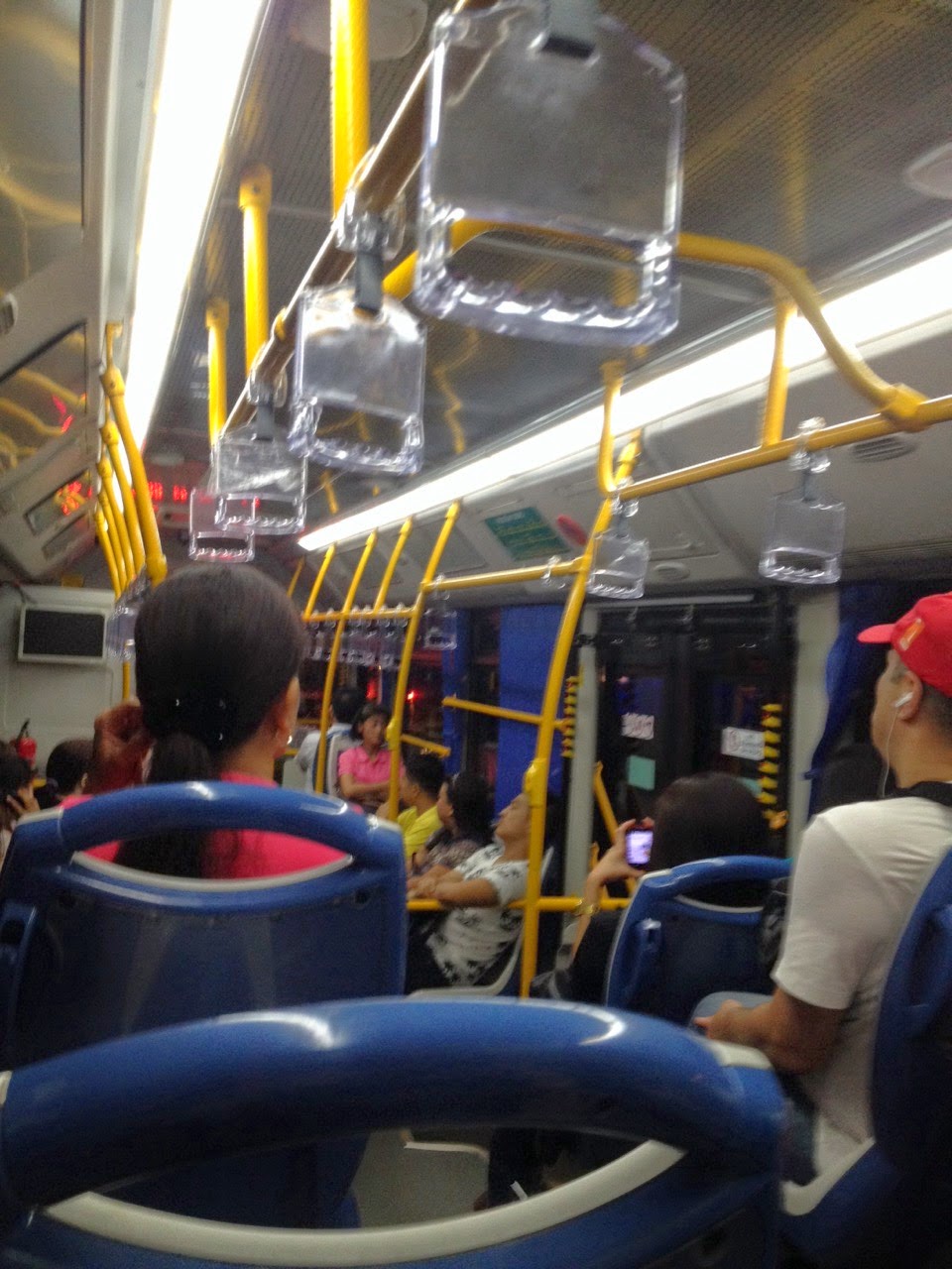 The Exiled Prince: RIDING THE GREEN FROG BUS