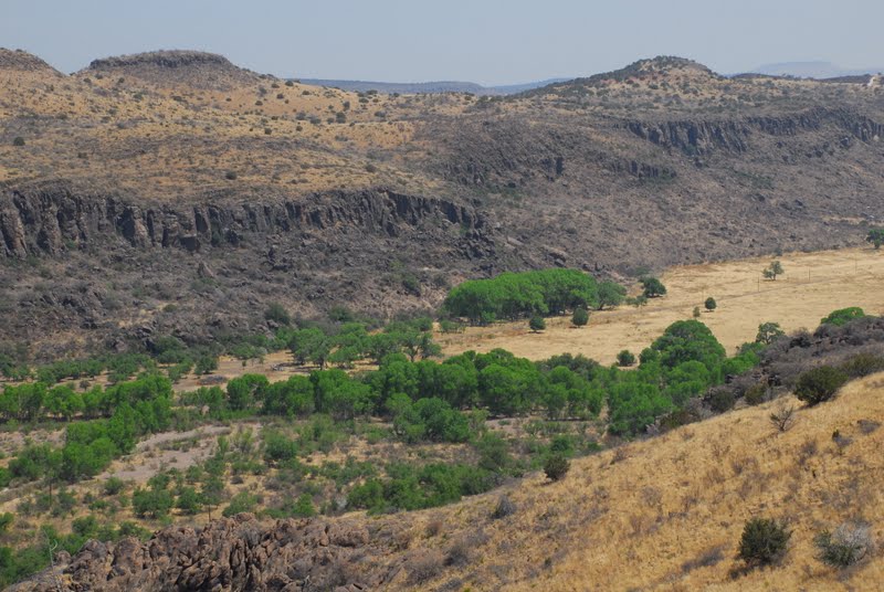 Texas Mountain Trail Daily Photo: Looking forward to the reopening of ...