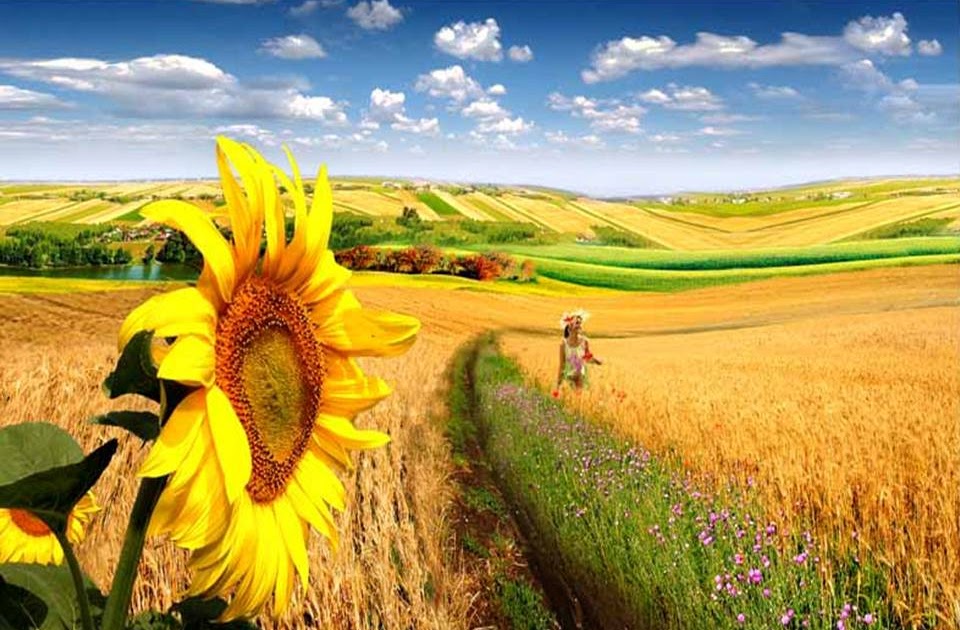 .:Poezii si cantece de gradinita:.: DIALOG CU VARA