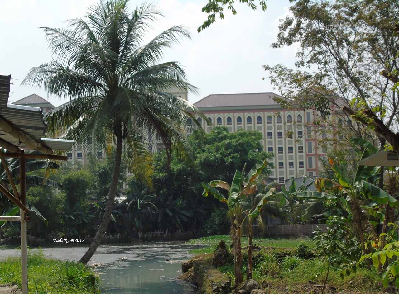 My Art of Living: Kondisi Situ Legoso Sekarang