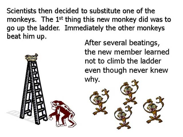 Interesting Facts: Five Monkeys Theory (Wet Monkey Theory)