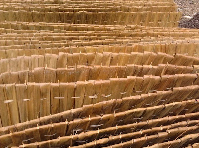 Pembekal Atap Rumbia Atap Nipah Atap Lalang Traditional Thatched Roof
