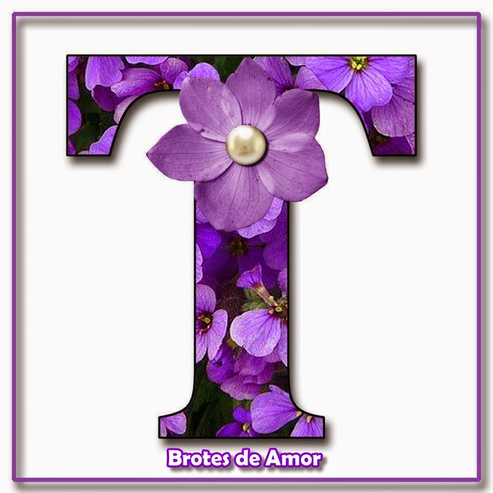 Brotes de Amor: Abecedario en hermosas violetas