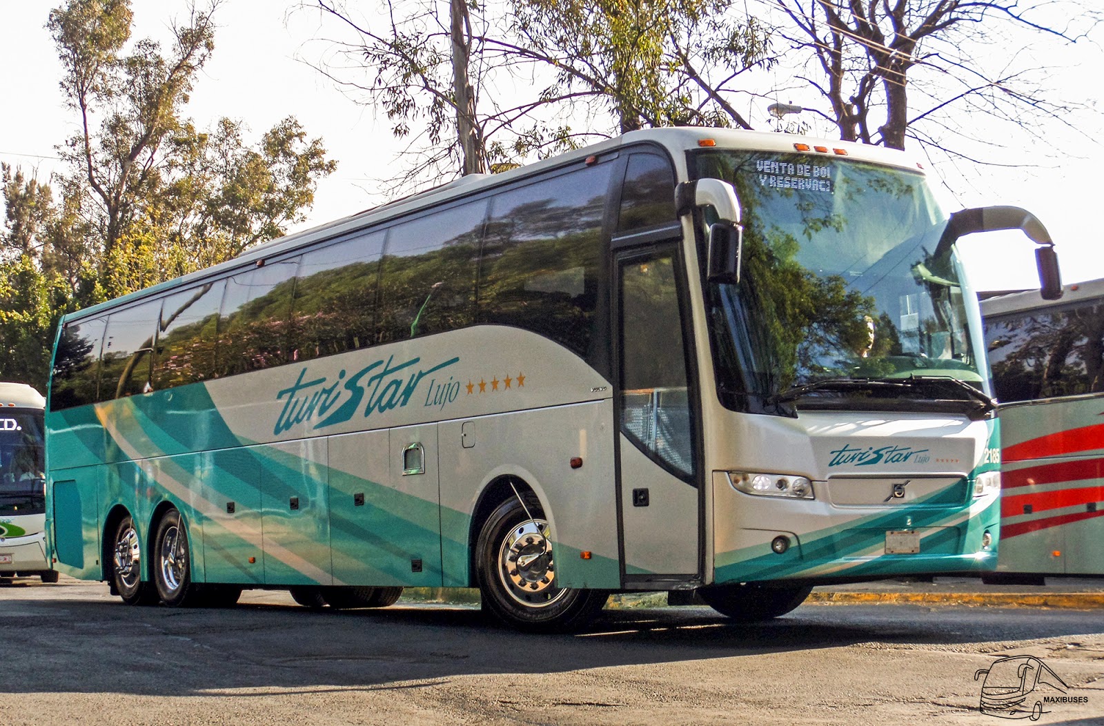 MAXIBUSES: TURISTAR LUJO