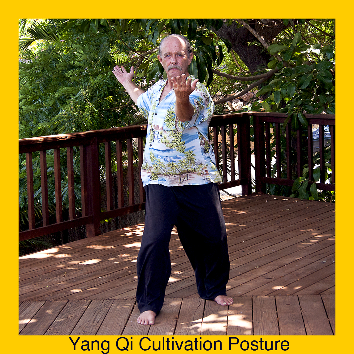 Nine Heaven Chi Gung Clinic - Maui