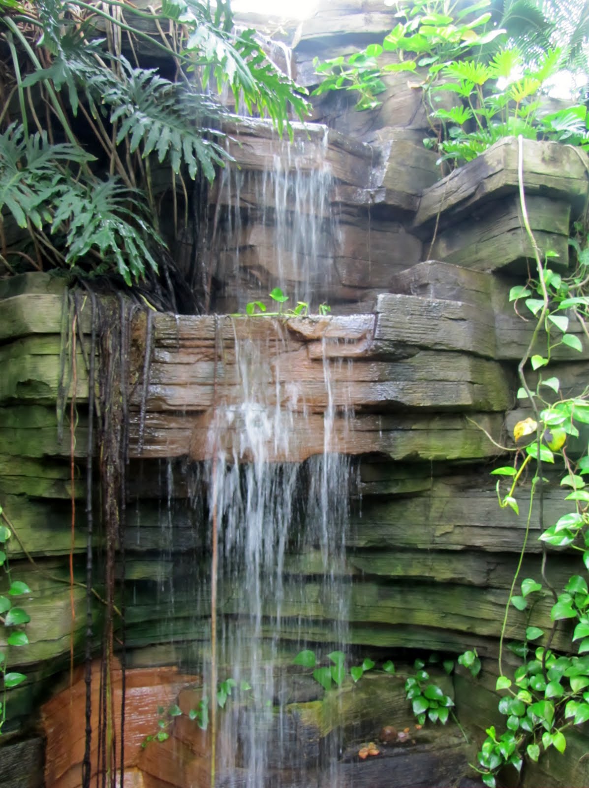 Jeffrey Scott's: Mitchell Park Domes - Tropical Domes