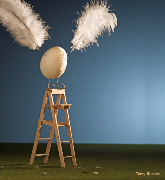 SÁTIRO: Terry Border