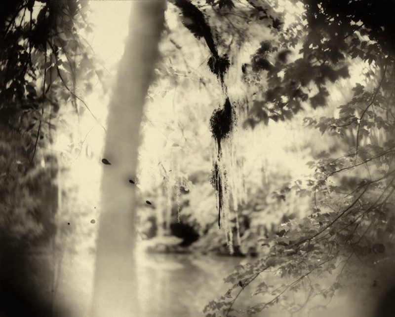 PhotoGraphic: Sally Mann