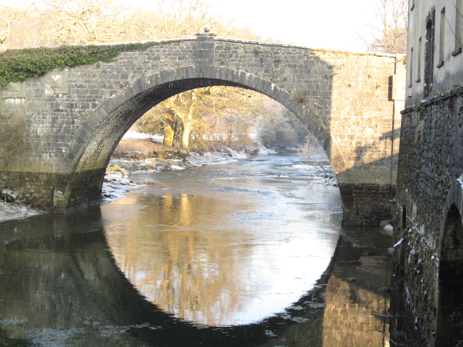 Shoestring Librarian