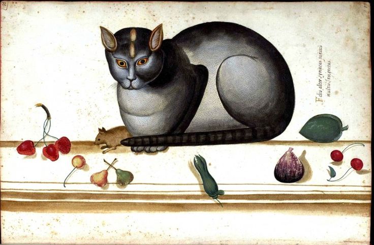 True Book Addict...Books, Cats, and More: #CatThursday - #Cats in #Art ...