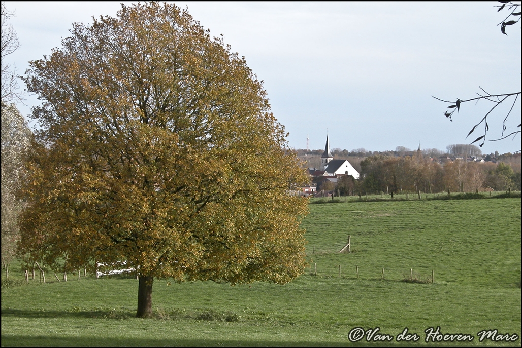Landelijk Aaigem: Wandeling naar Ressegembos