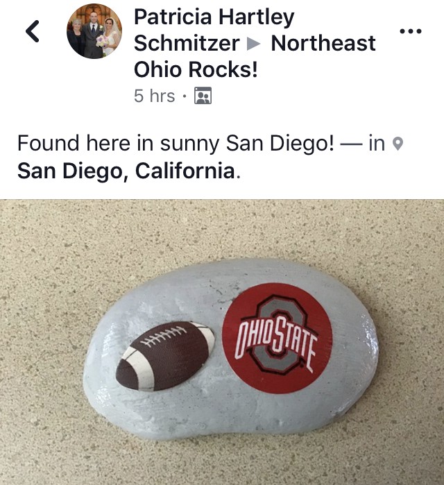 Northeast Ohio Rocks!: Northeast Ohio Rocks! in all 50 States Volume 5