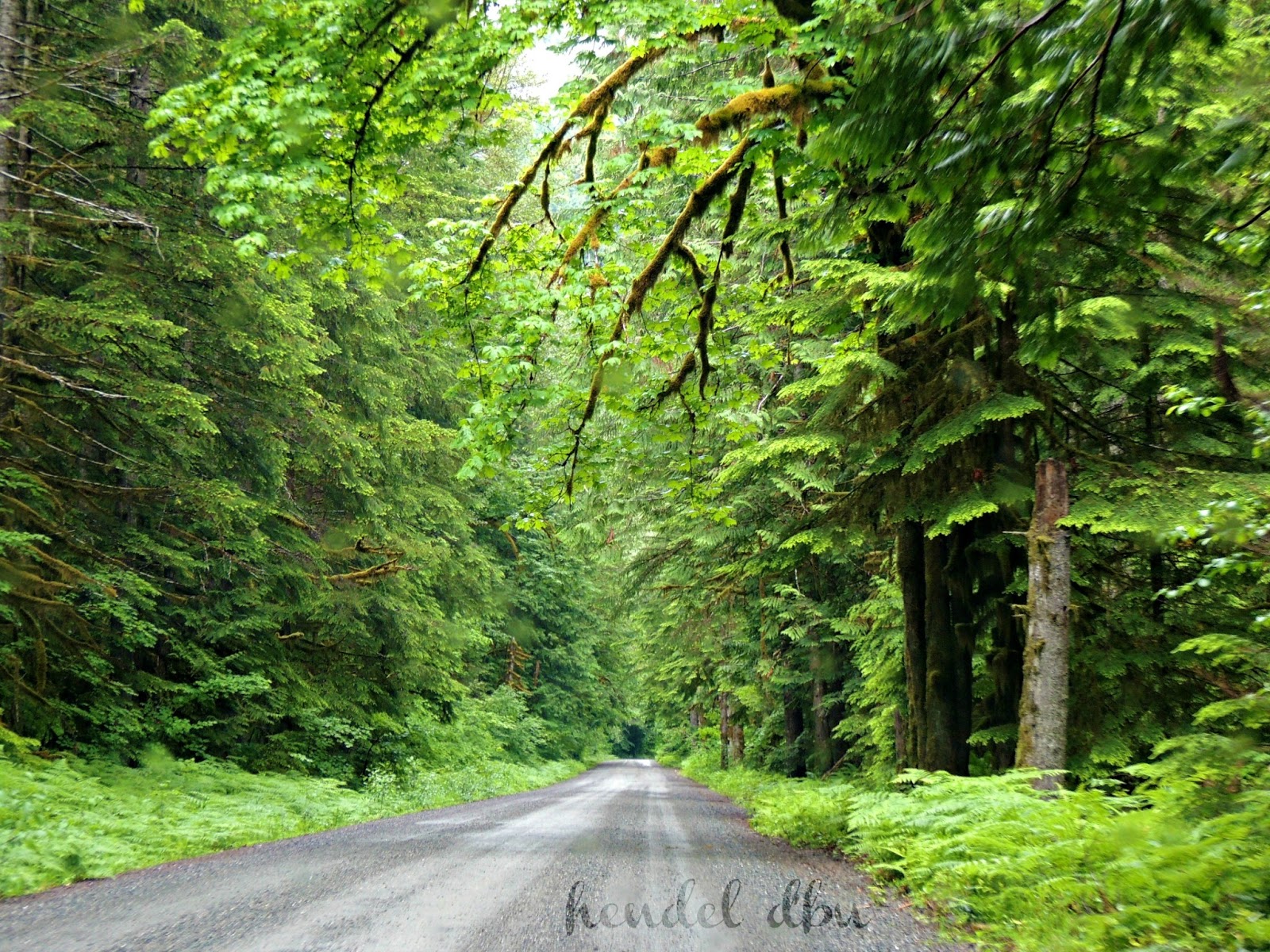 Mountain Loop Highway