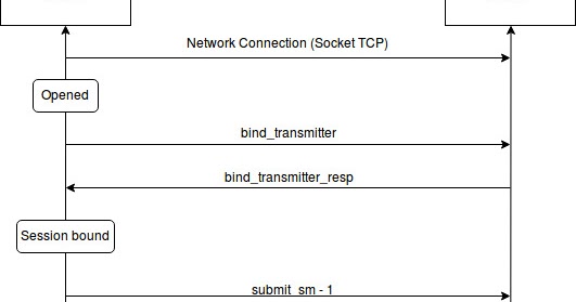 Day in Technology: SMPP PDU