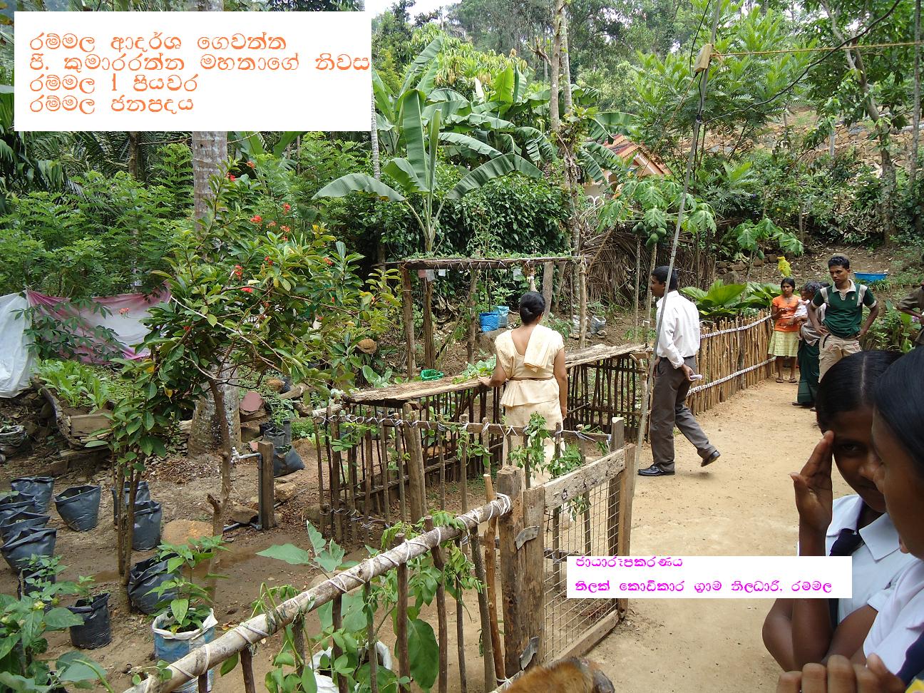 Rammala Divi Neguma: කෘ.ප.නි.ස ව්‍යාපෘති